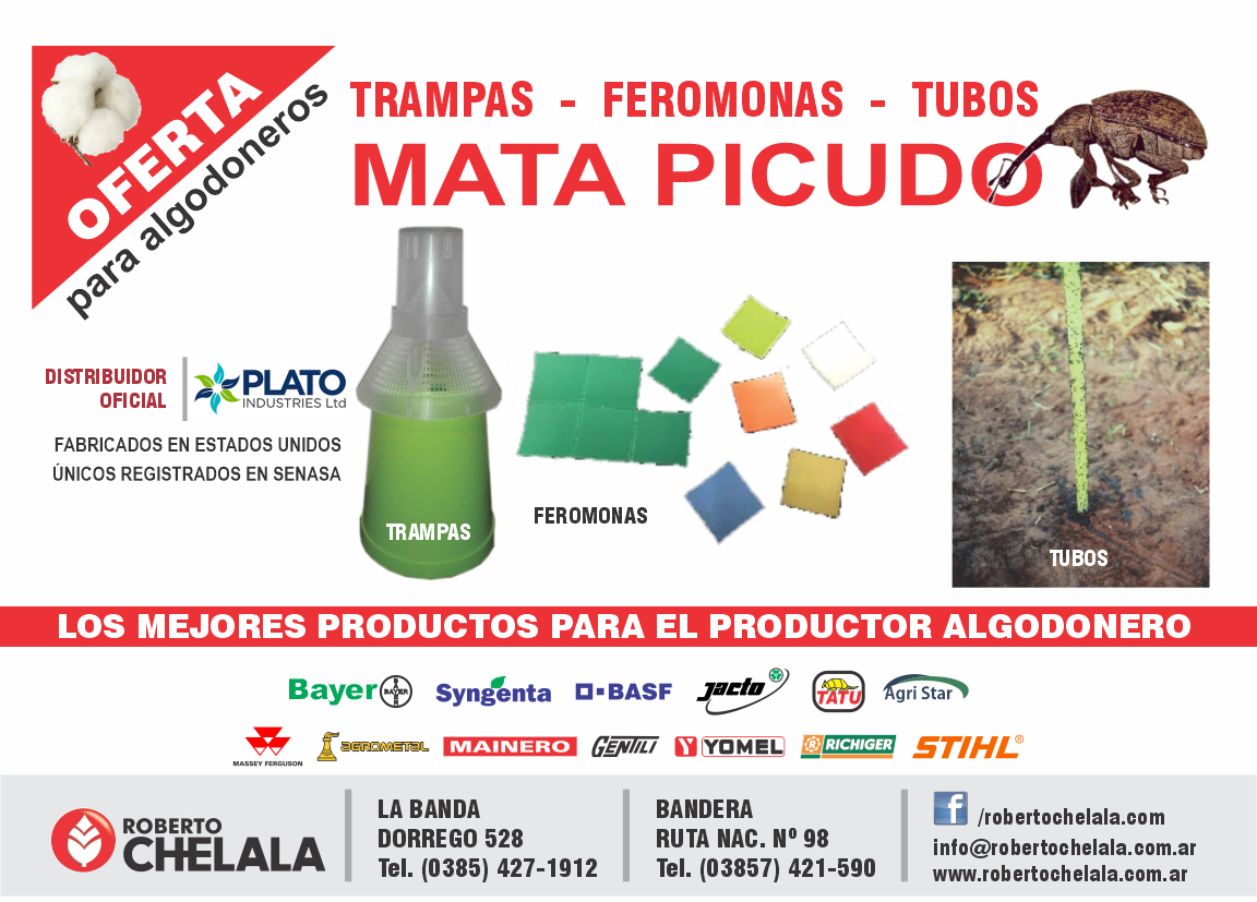 La Importancia De Las Trampas De Feromonas En La Detección Del Picudo